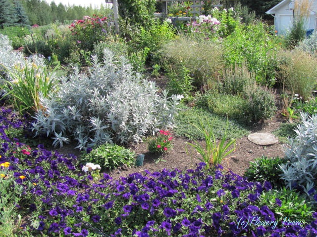 Garden tour: Silver Springs Botanical Gardens. – Flowery Prose