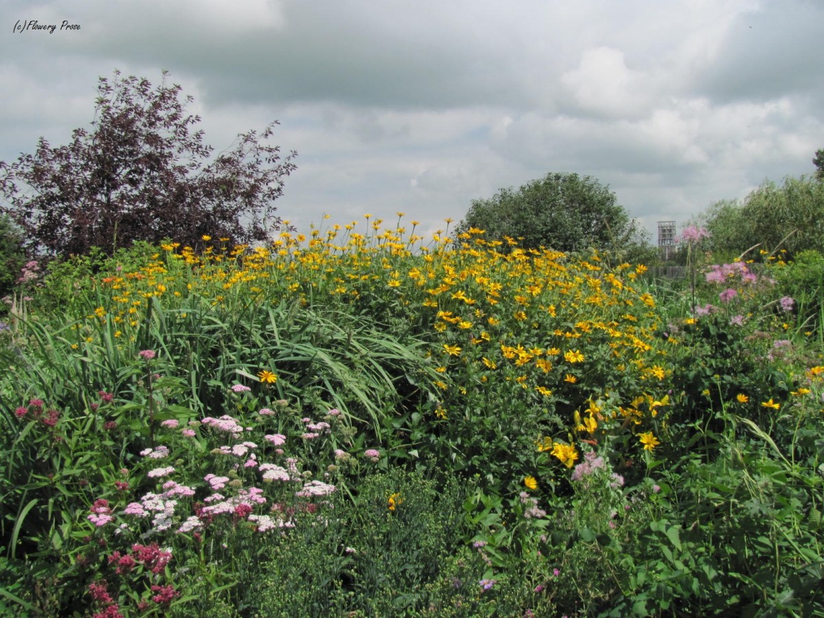 Back to nature: Tour of the Ellis Bird Farm. – Flowery Prose.