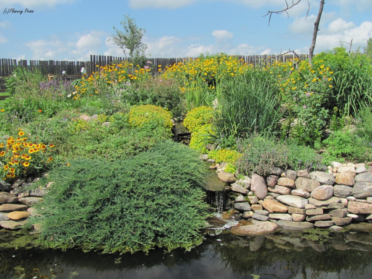 Back to nature: Tour of the Ellis Bird Farm. – Flowery Prose.