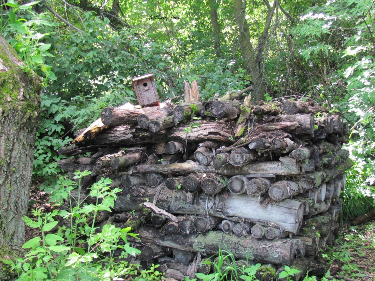 Back to nature: Tour of the Ellis Bird Farm. – Flowery Prose.