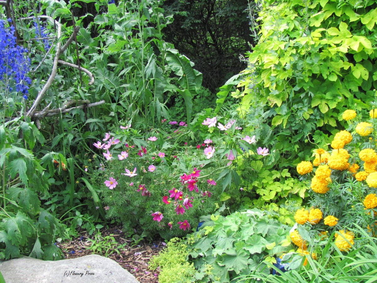 Back to nature: Tour of the Ellis Bird Farm. – Flowery Prose.