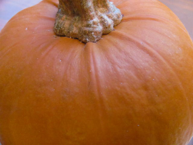 Recipe: Roasted pumpkin and lentils. – Flowery Prose