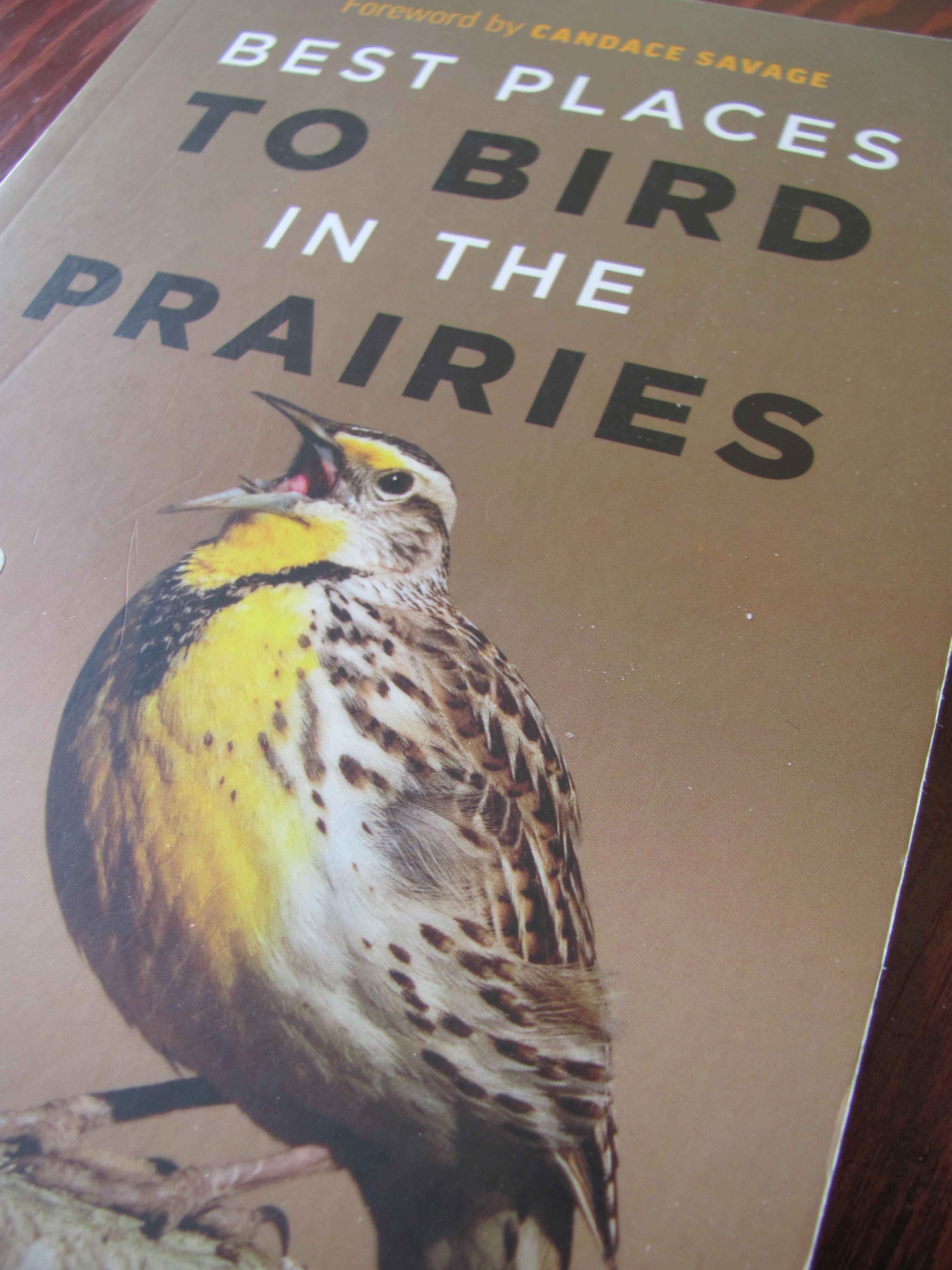 A few books by Prairie authors. – Flowery Prose.