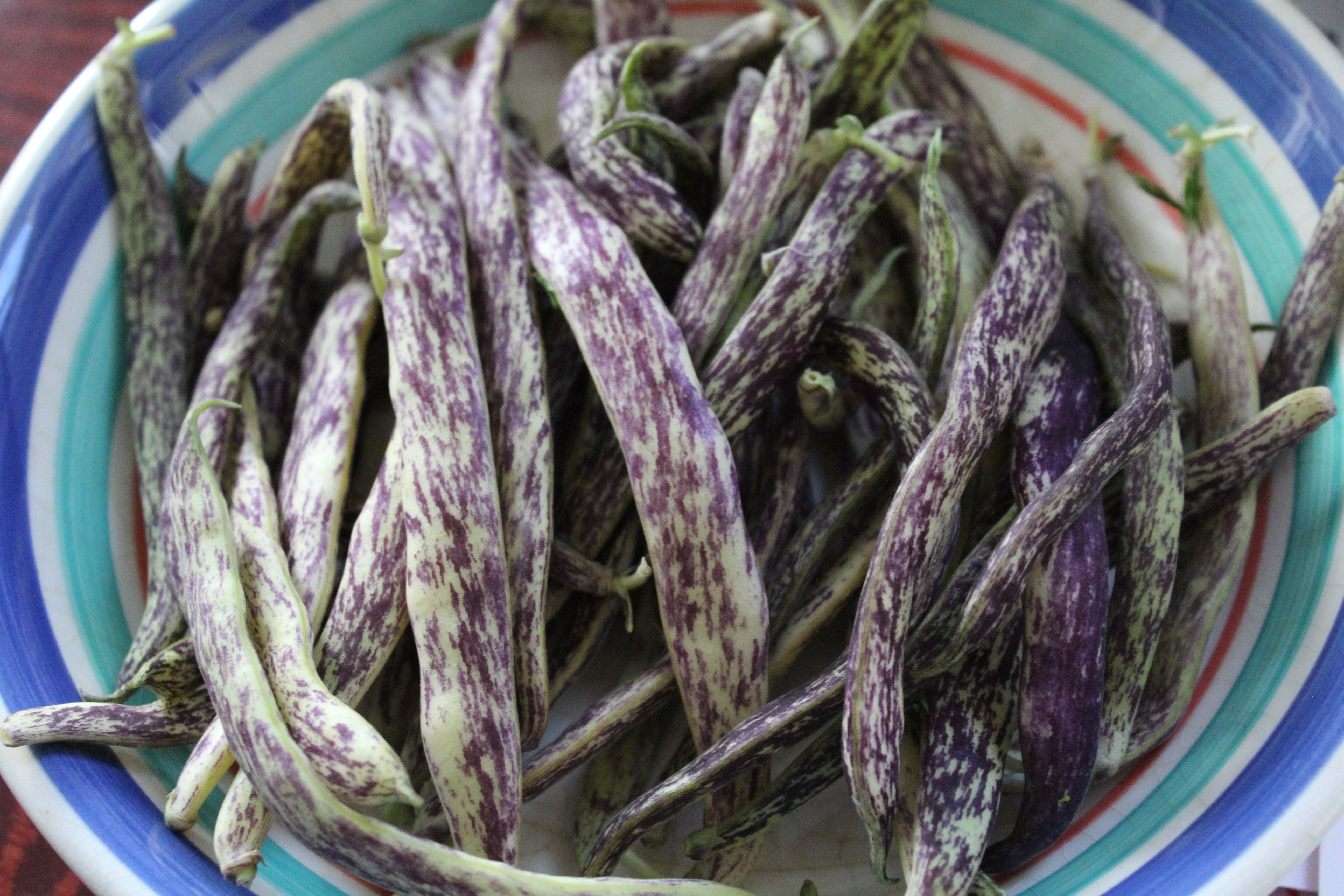 ‘Dragon Tongue’ beans. – Flowery Prose.